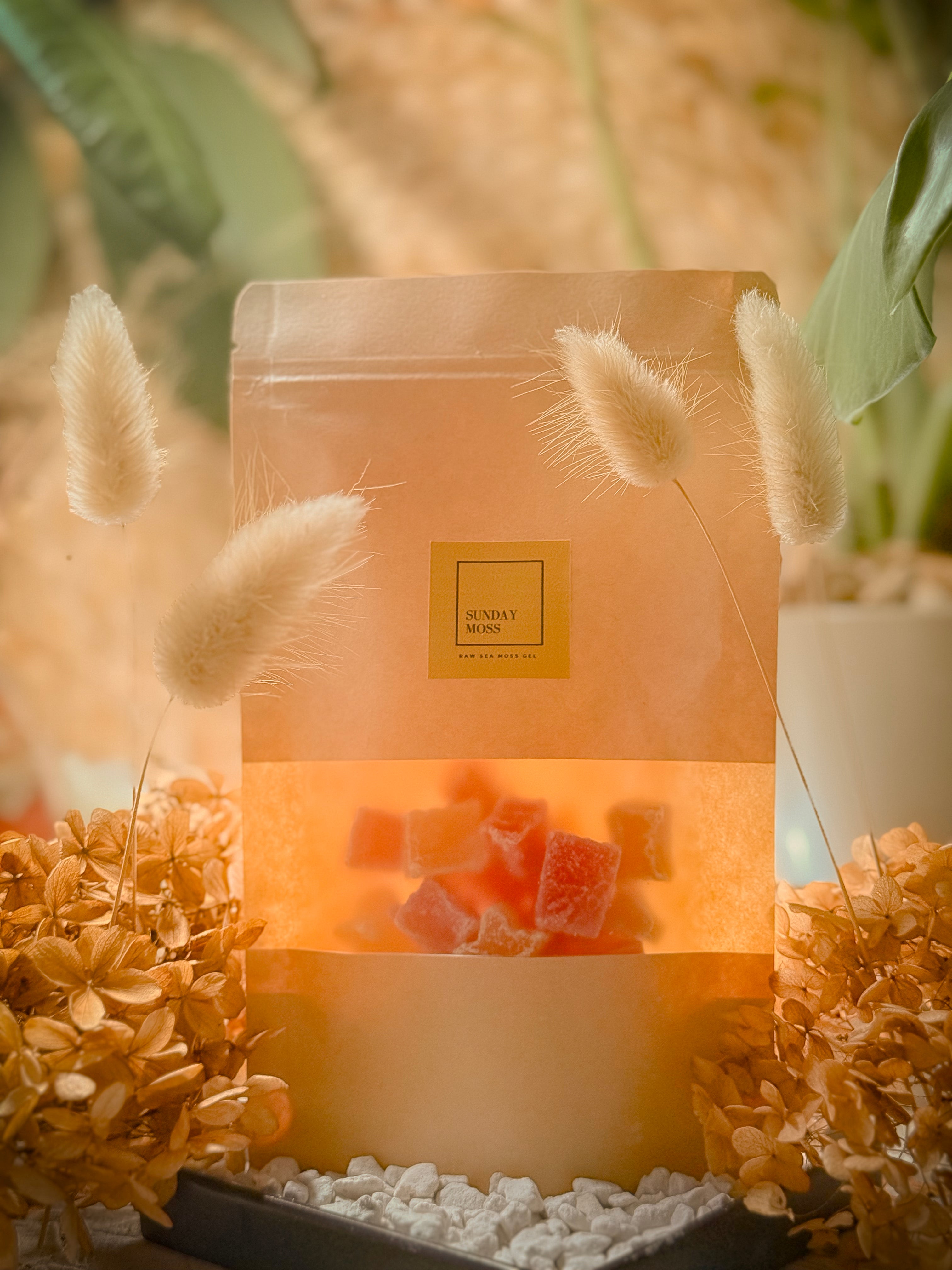 Sunday Moss Gummies – Variety Pack – Sunday Moss Inc.